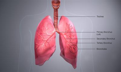 How Much Does Double Lung Transplant Cost?
